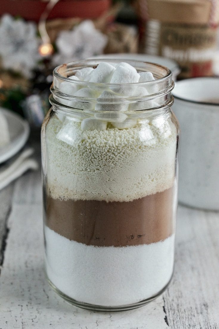 Homemade Hot Cocoa • Sandra's Easy Cooking Beverage Recipes